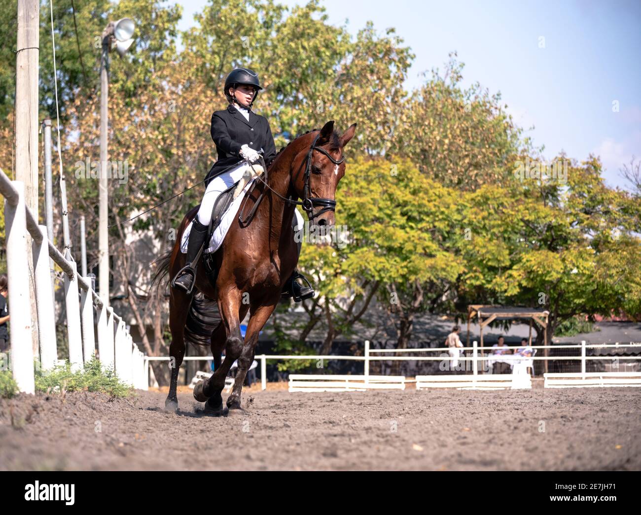 Dressage presentation hi-res stock photography and images - Alamy