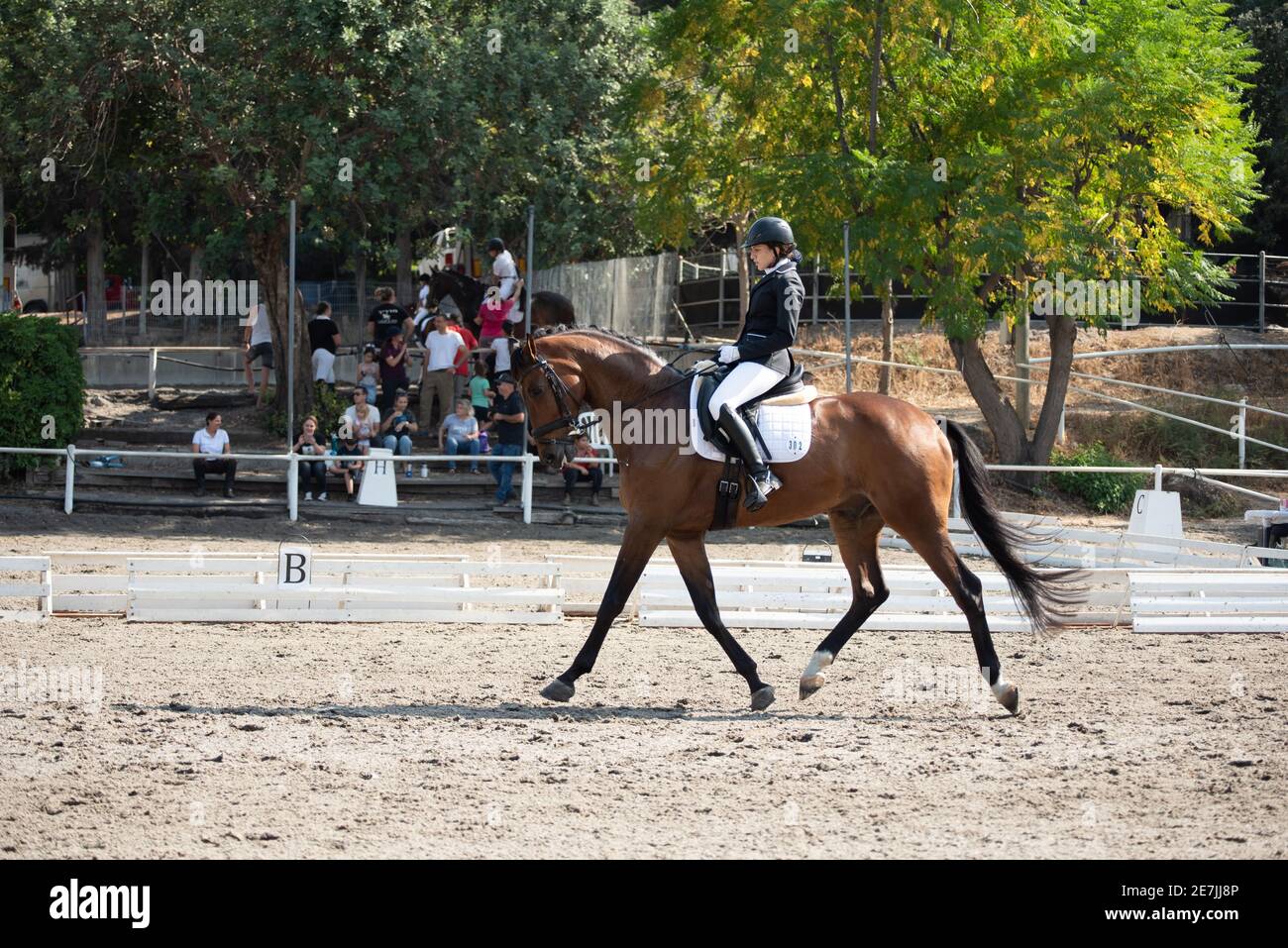 Dressage test movements hi-res stock photography and images - Alamy