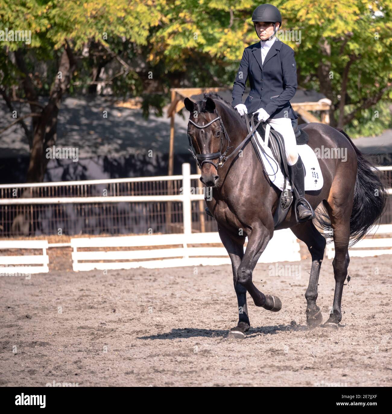 Dressage test movements hi-res stock photography and images - Alamy