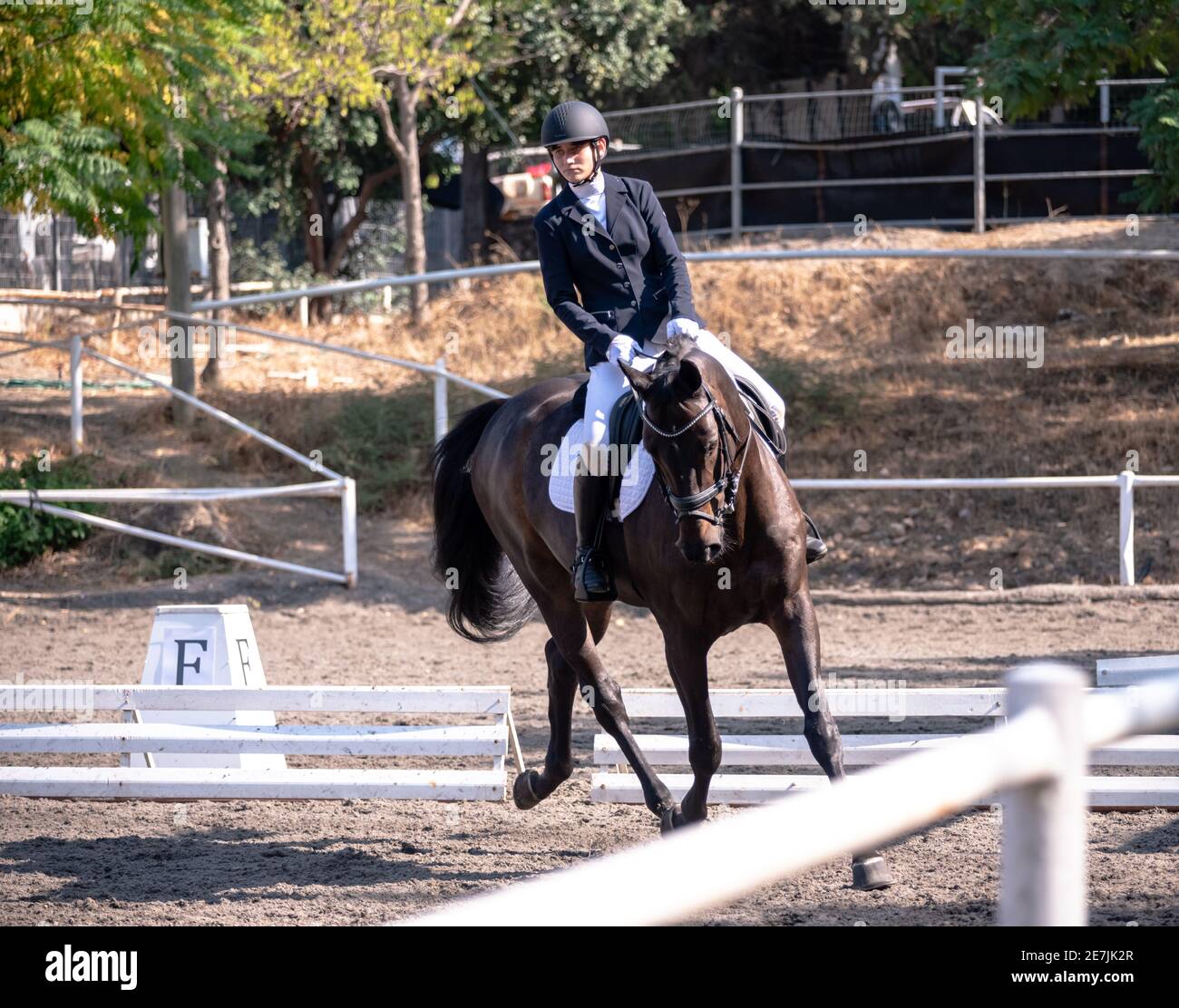 Dressage patterns hi-res stock photography and images - Alamy
