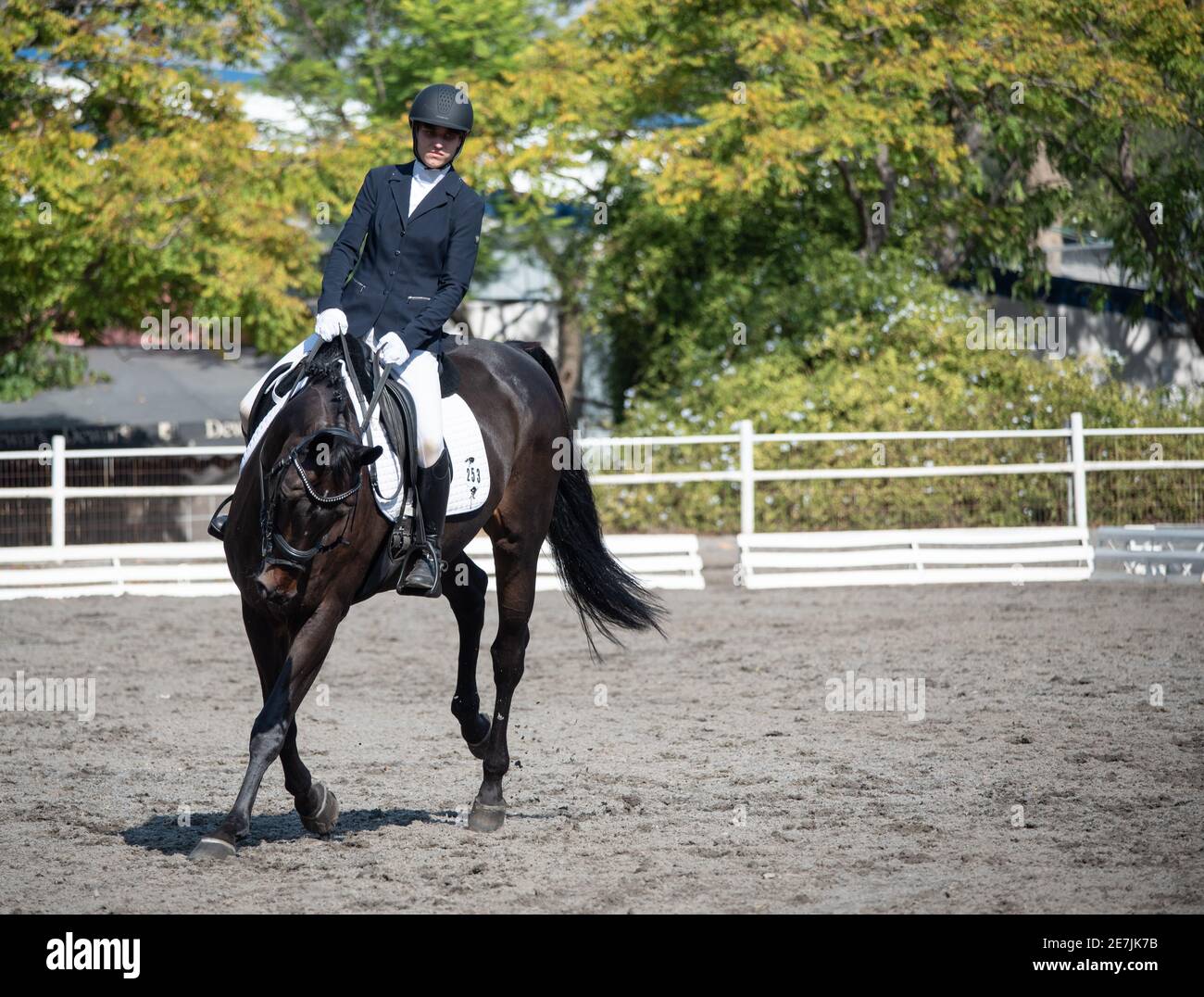 Dressage test movements hi-res stock photography and images - Alamy