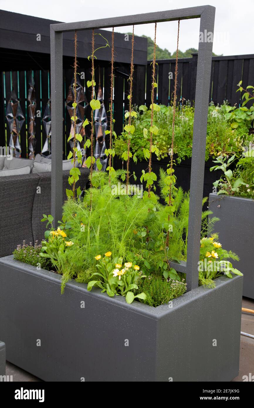 Moveable feast hi-res stock photography and images - Alamy