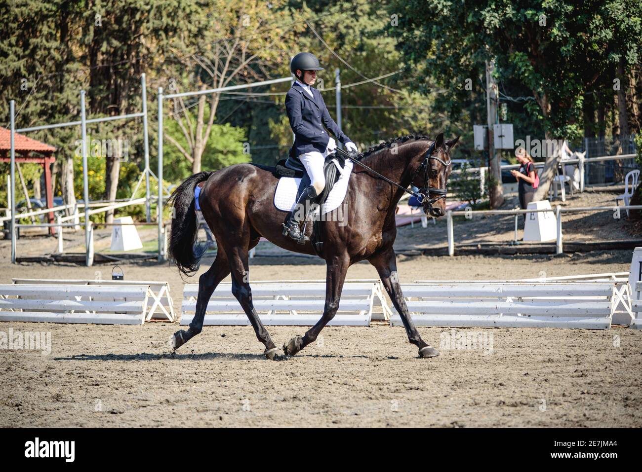 Dressage test movements hi-res stock photography and images - Alamy