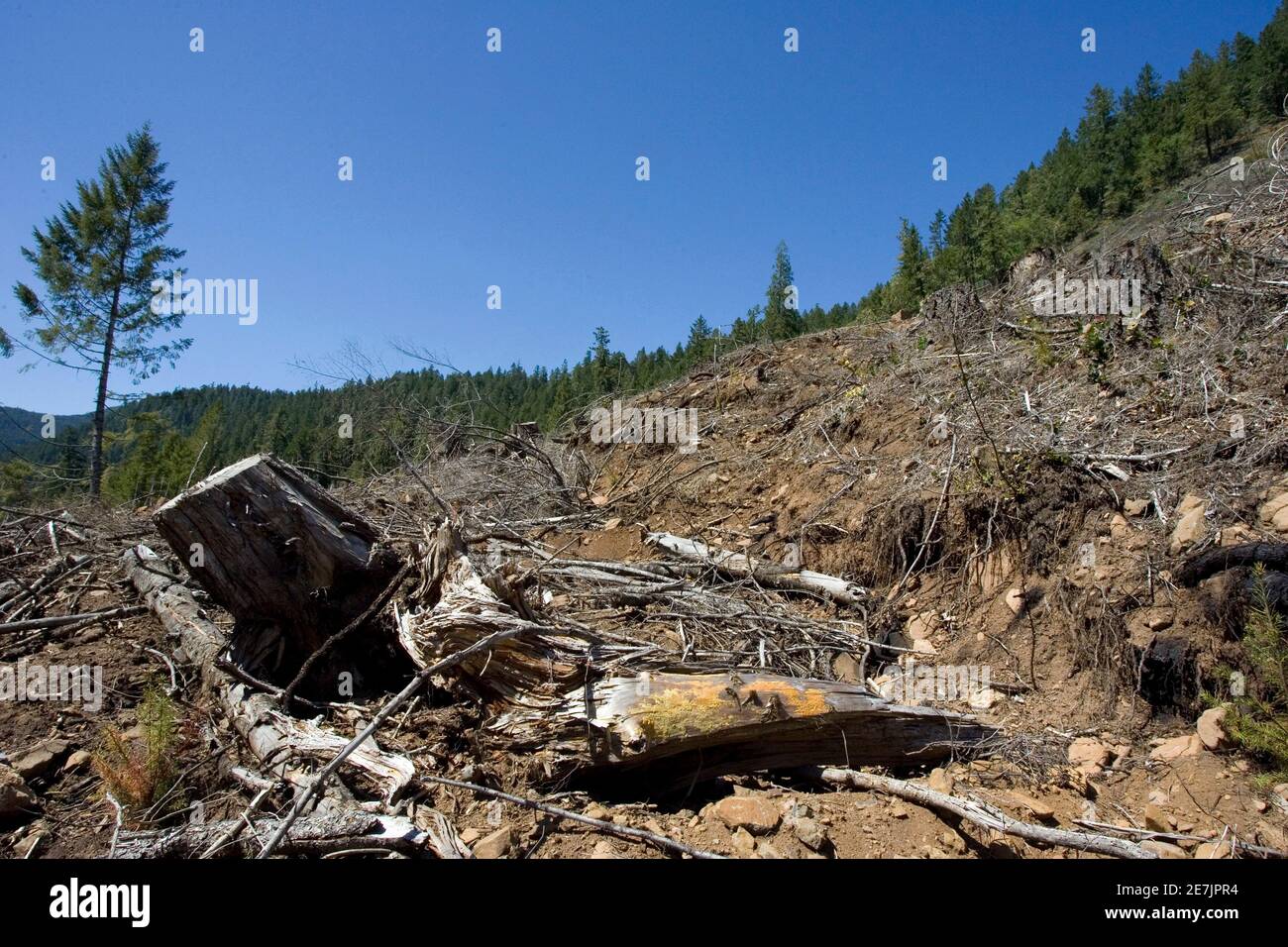 National Forest Service Signs High Resolution Stock Photography and ...