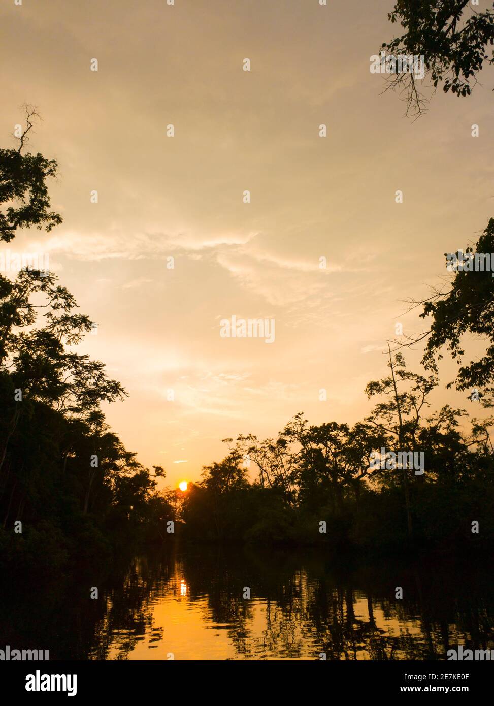 Sunset, Rembo Ngowe river, Akaka, Loango National Park, Gabon Stock ...