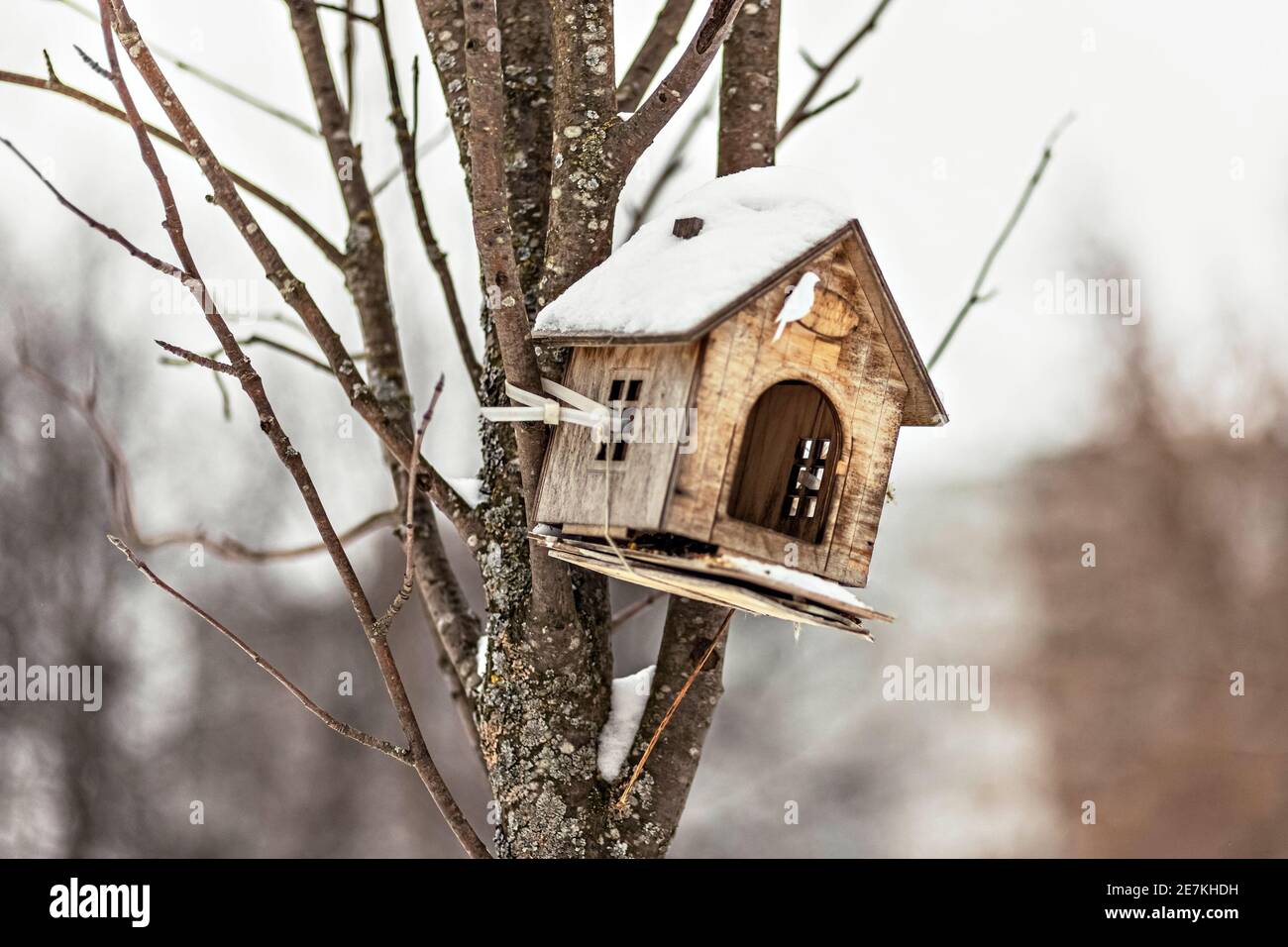 Beautiful wooden birdhouse for birds on a tree. Winter time Stock Photo ...