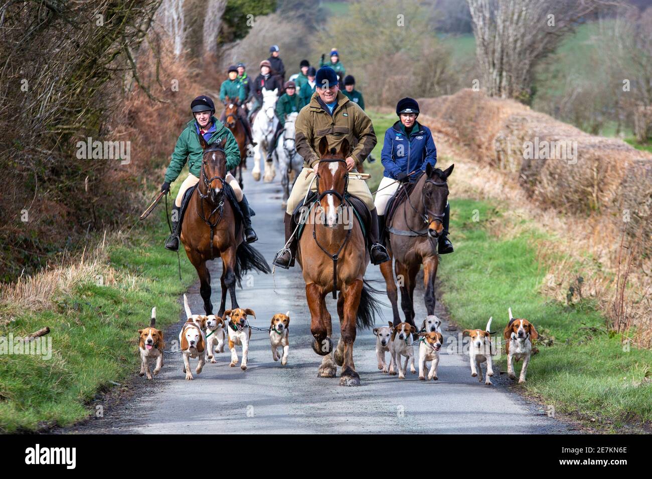 Autumn scene horse and hounds hi-res stock photography and images - Alamy