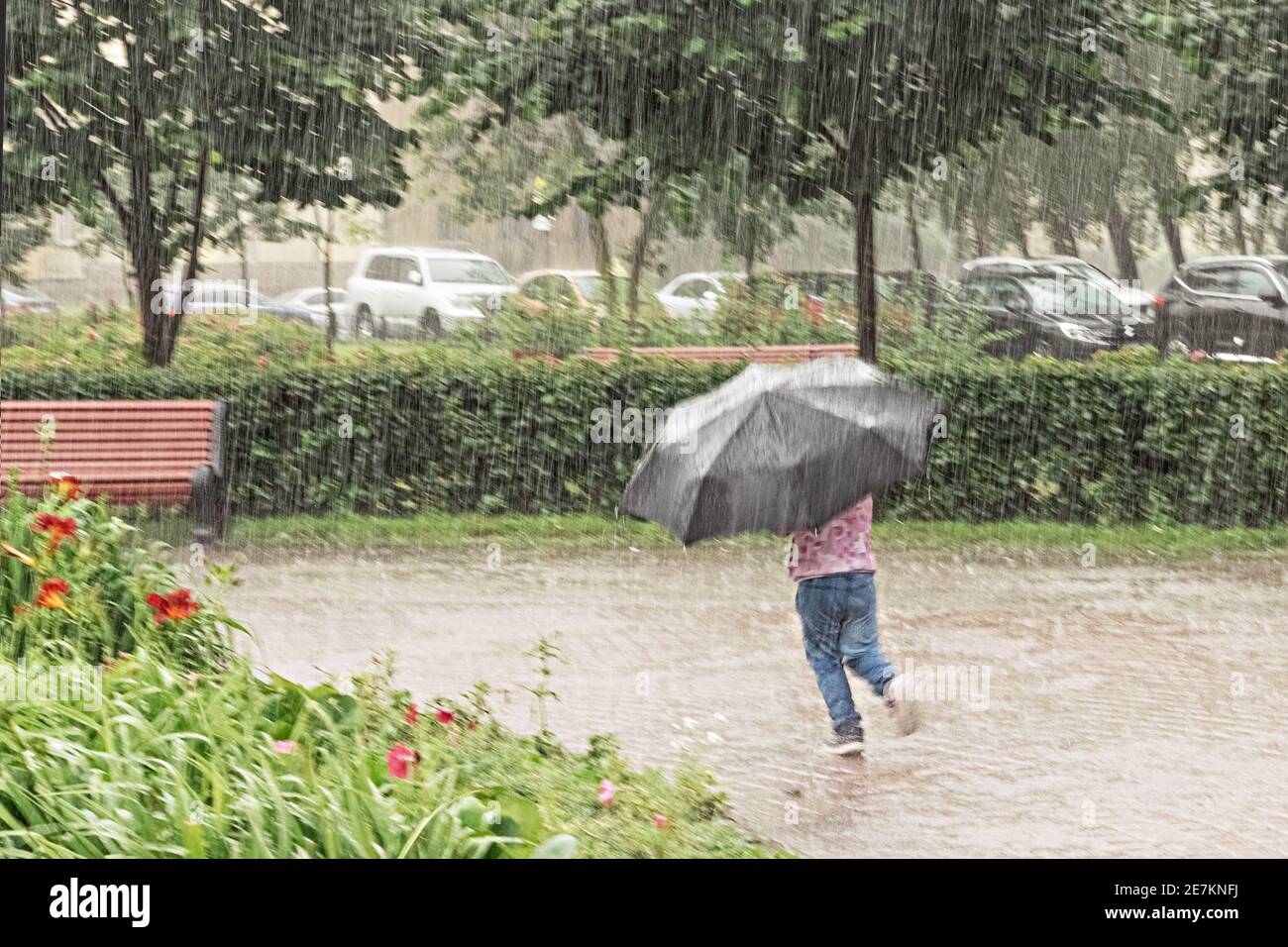 A little girl is having fun running around with an umbrella in the ...