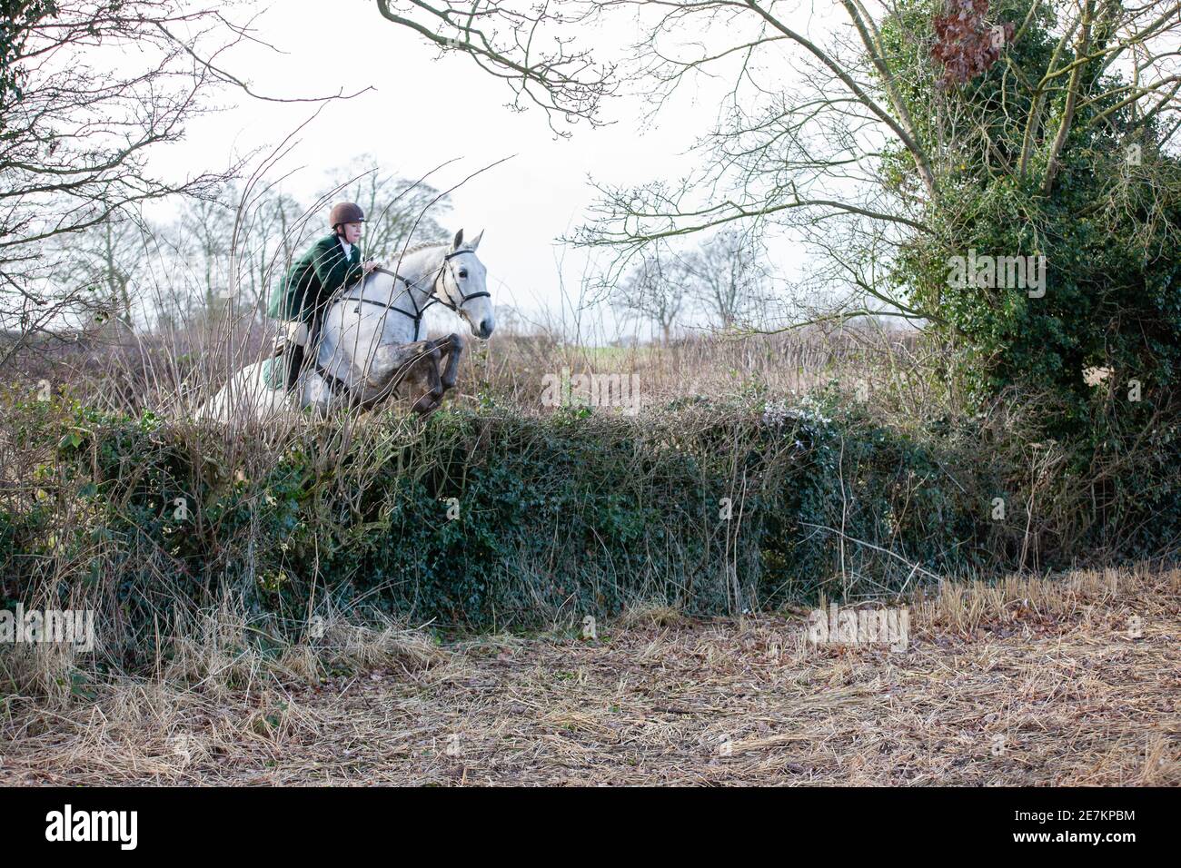 Hunt sabatours hi-res stock photography and images - Alamy