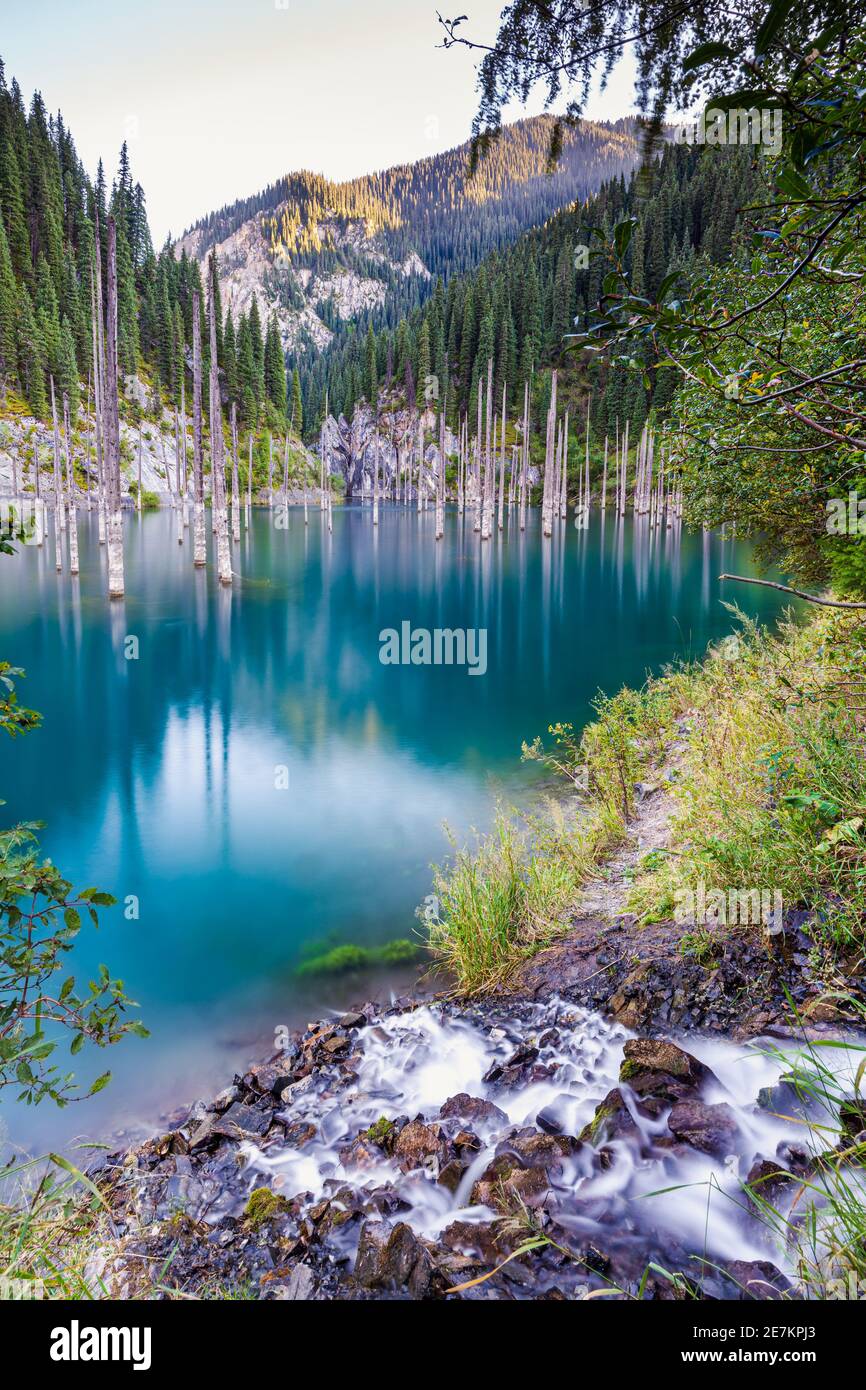 Sunken trees hi-res stock photography and images - Alamy