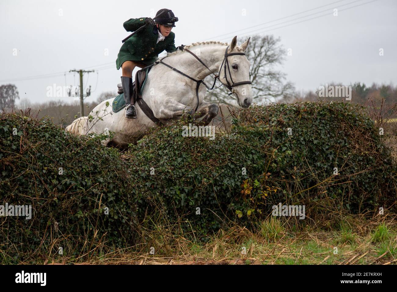 Drag hunting hi-res stock photography and images - Alamy