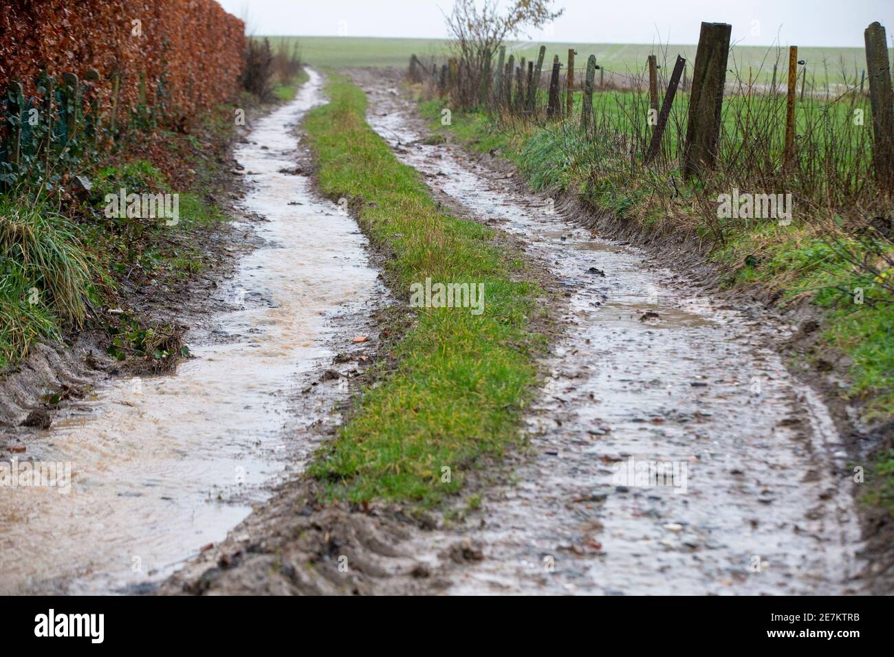 Illustration picture shows rainwater streaming from nearby fields ...