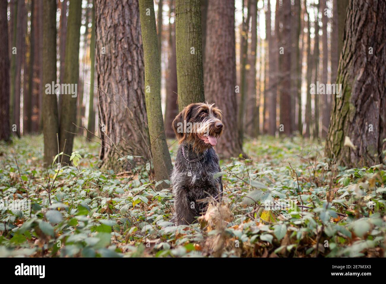 Watching what is happening hi-res stock photography and images - Alamy