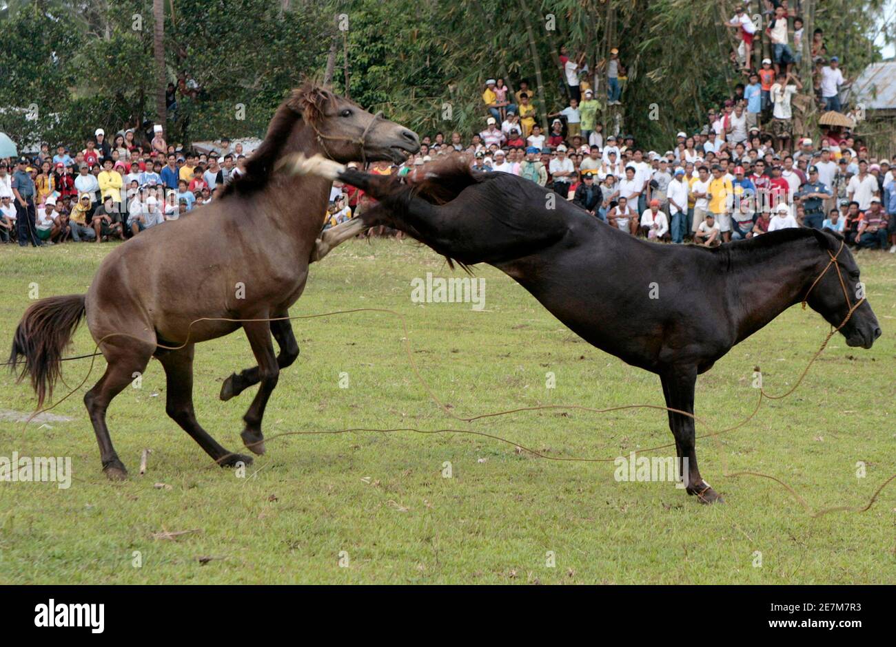 Carigara hi-res stock photography and images - Alamy