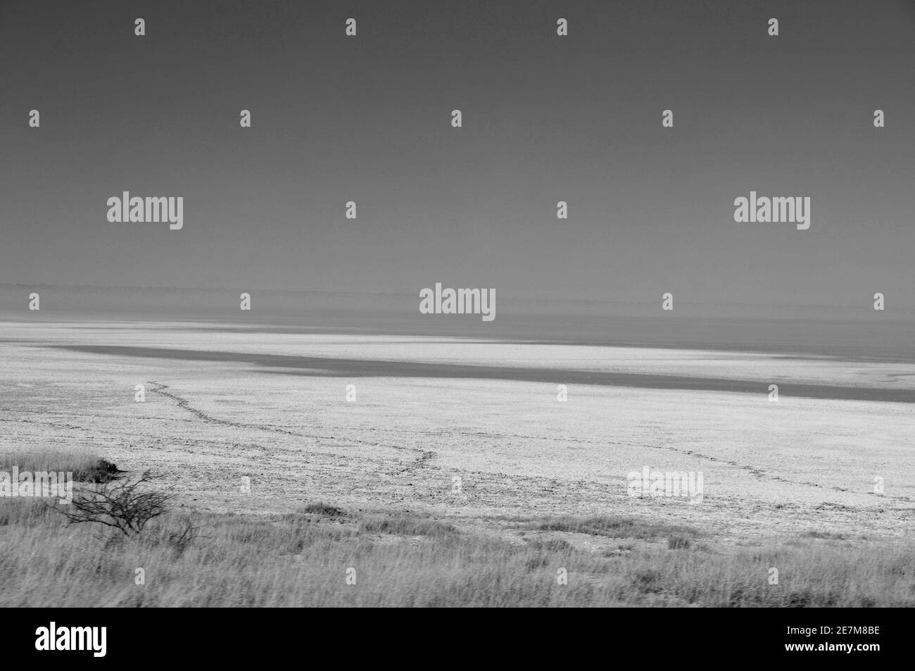 The Etosha Salt pans in the national park in Namibia Stock Photo - Alamy