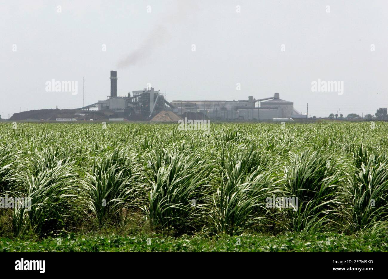 Fanjul sugar hi-res stock photography and images - Alamy