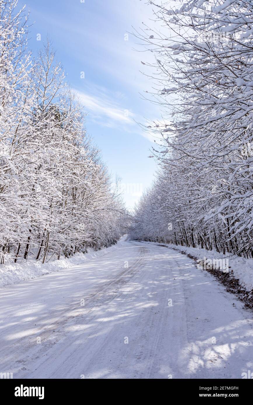 Winter in my Québec Stock Photo - Alamy