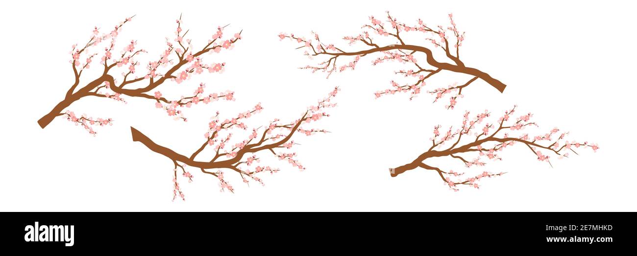 Japanese sakura set branches hi-res stock photography and images - Alamy