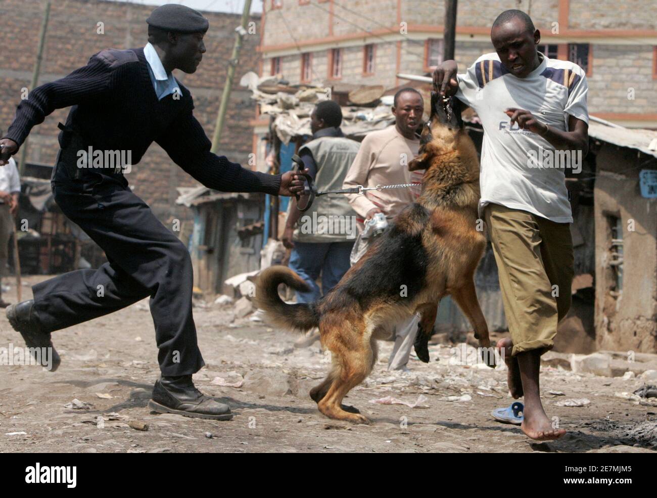 Dog gang hi-res stock photography and images - Alamy