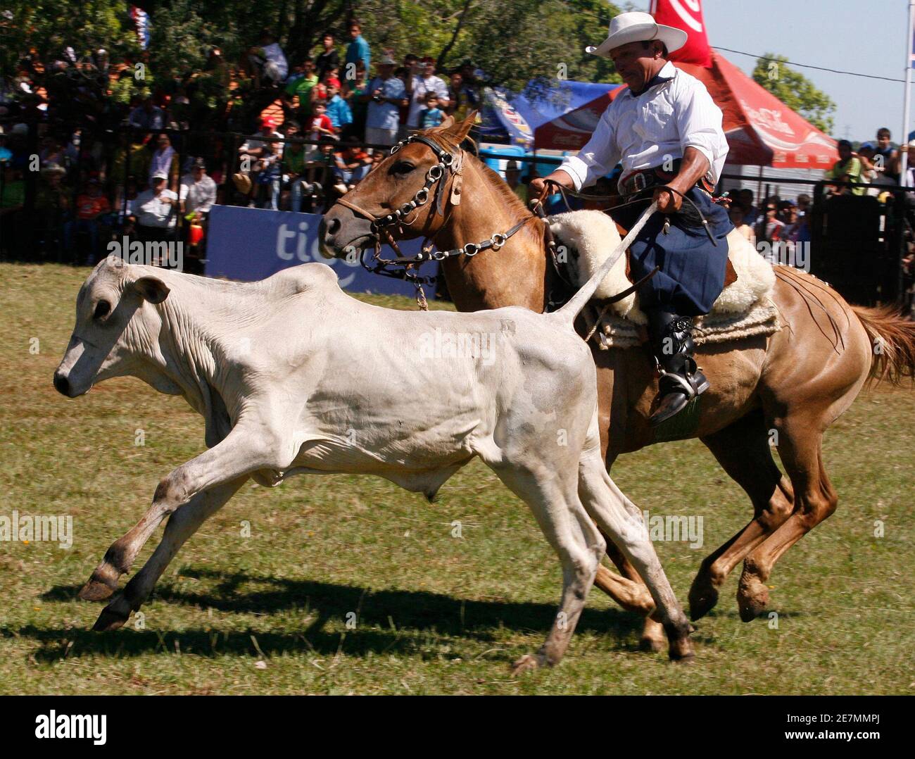 Paraguayan Man High Resolution Stock Photography and Images - Alamy