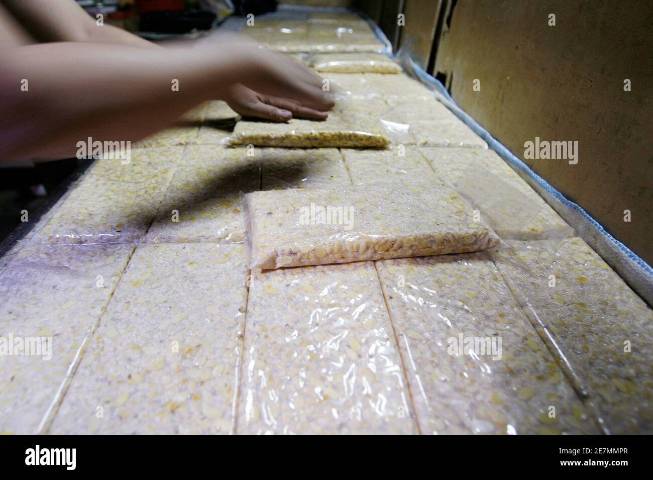 Tempeh fermentation hi-res stock photography and images - Alamy