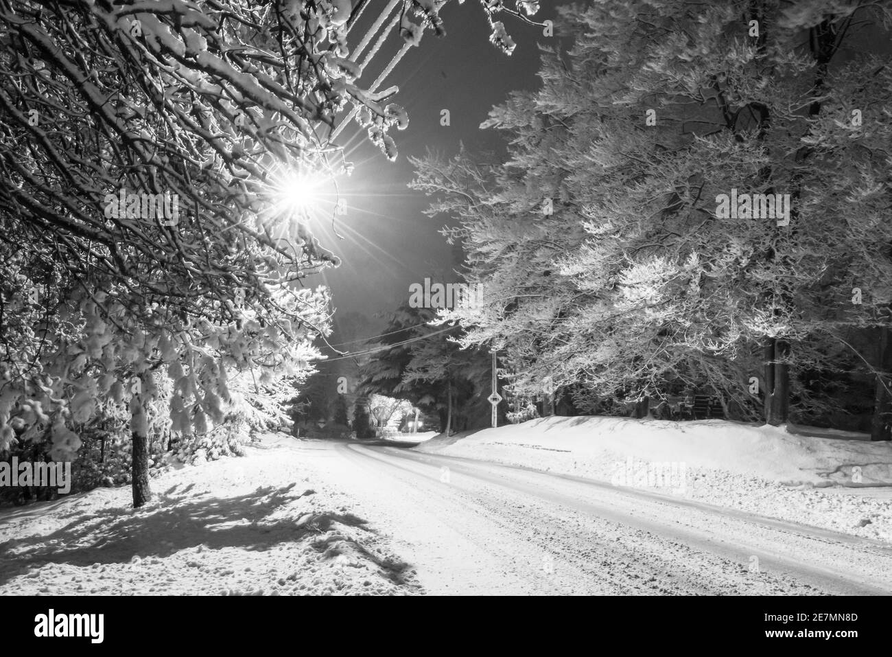 Frozen winter scene snow Black and White Stock Photos & Images - Alamy