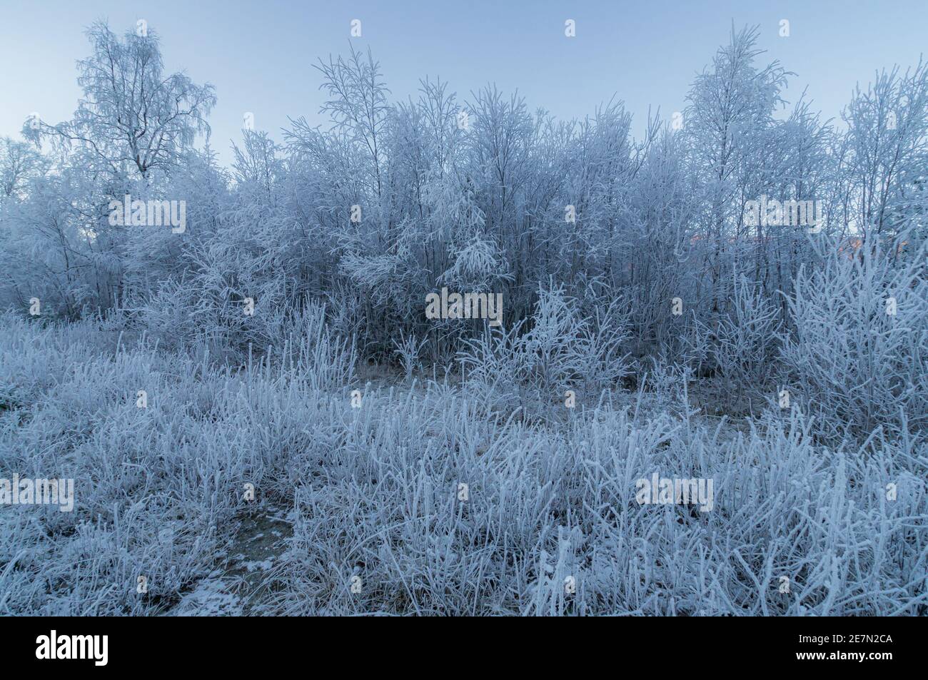 The weather has frozen the land hi-res stock photography and images - Alamy