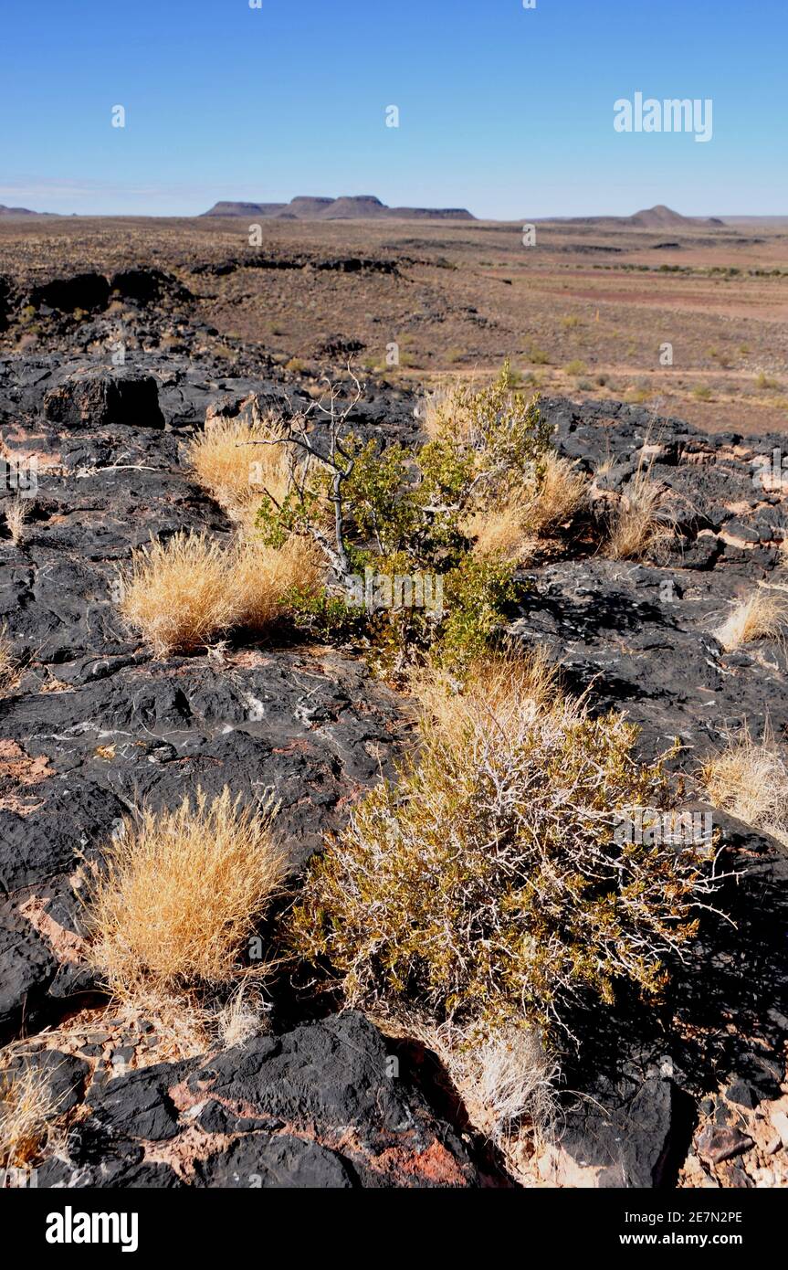 Volcanic stoneformations and desert bushes at the boarder of the Fish ...