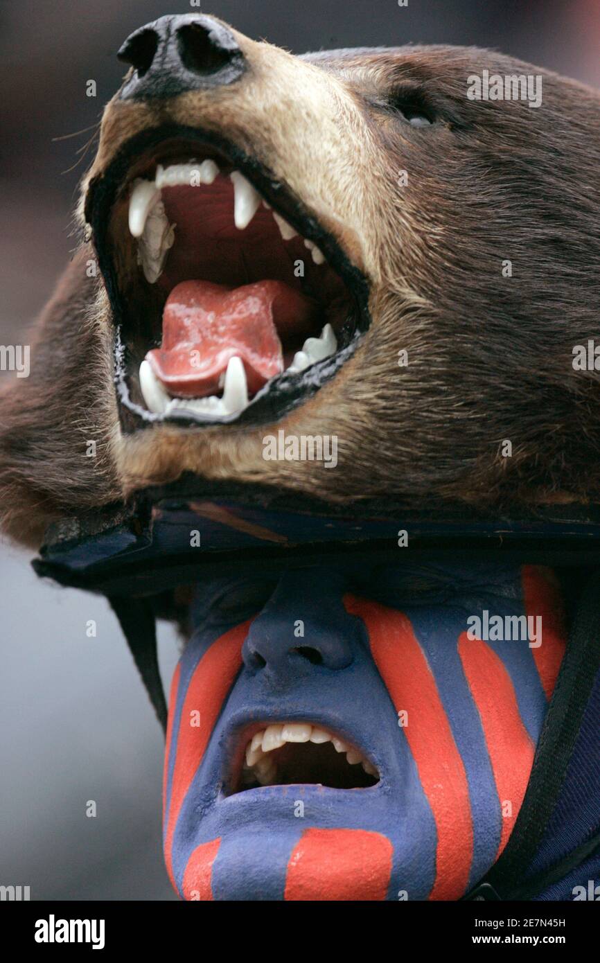 Chicago bears top hi-res stock photography and images - Alamy
