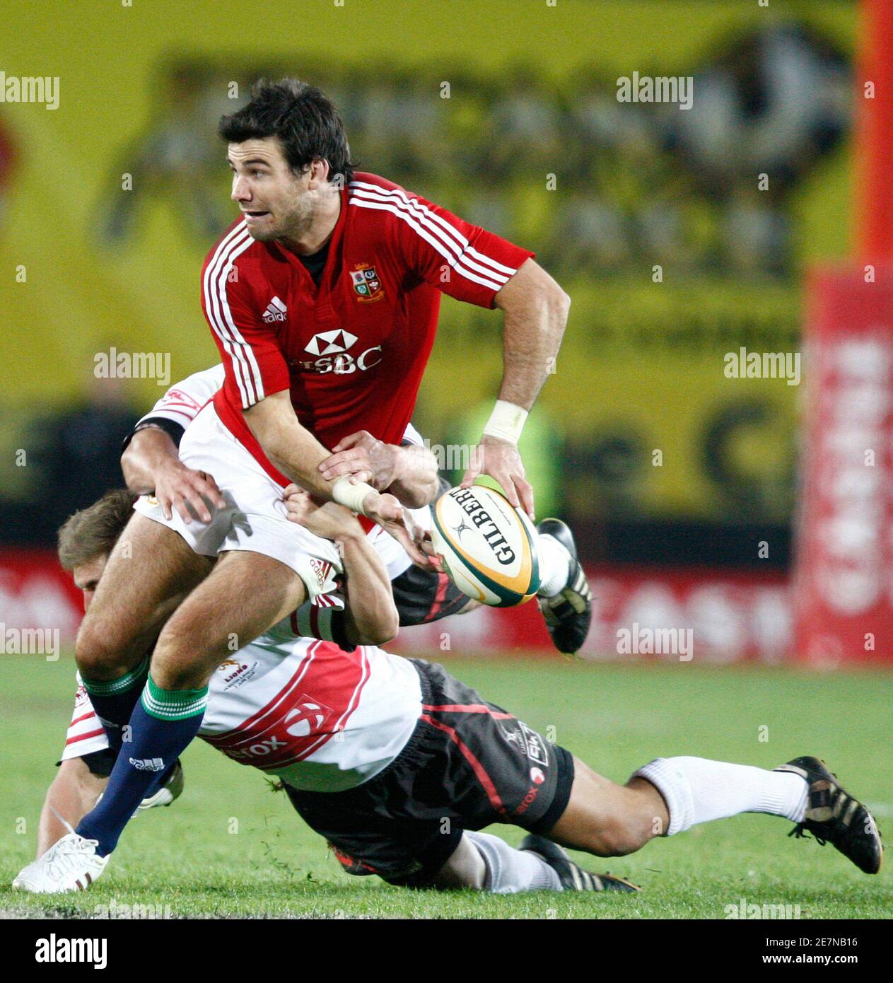 Willem alberts lions hi-res stock photography and images - Alamy