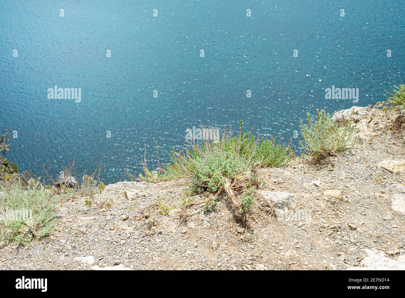 Sandy Grass Texture High Resolution Stock Photography and Images - Alamy