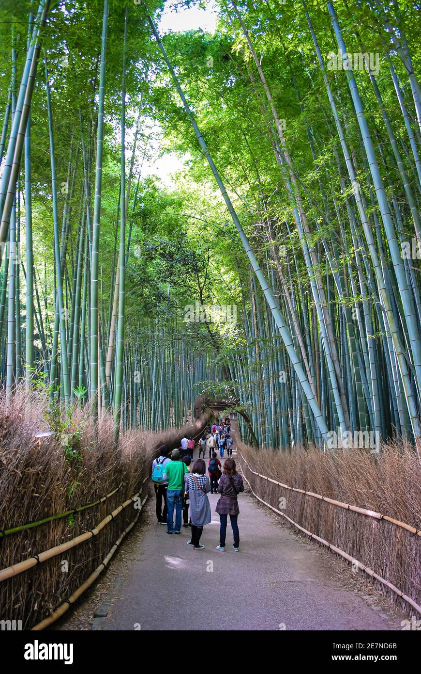 Kyoto arashiyama bamboo grove forest hi-res stock photography and ...