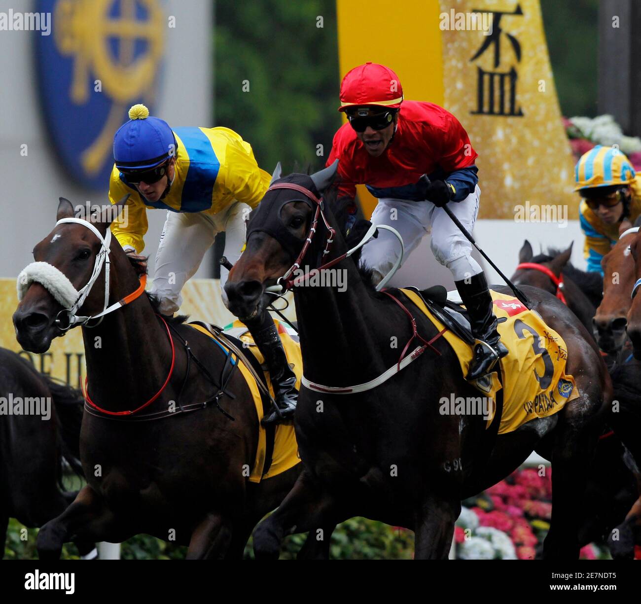 South african horse racing hi-res stock photography and images - Alamy