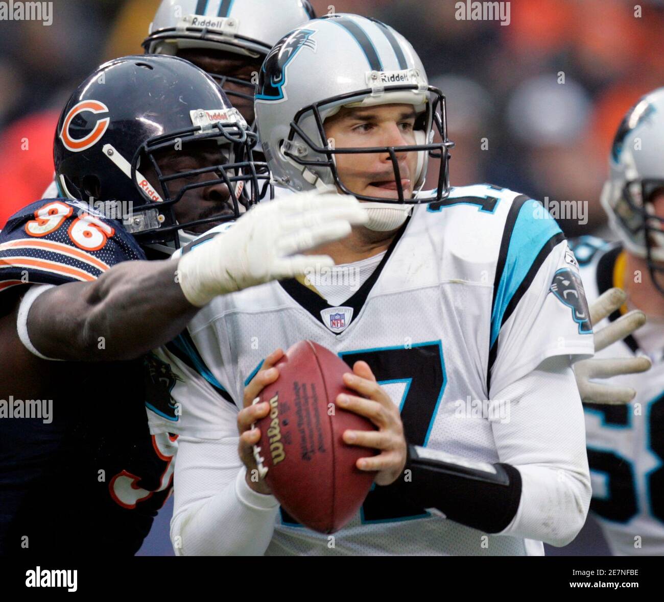 Alex brown bears hi-res stock photography and images - Alamy