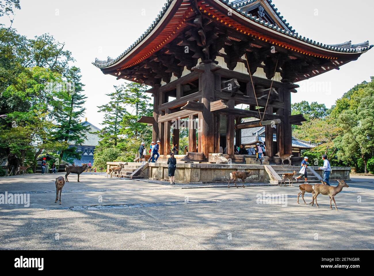 Todaji temple hi-res stock photography and images - Alamy