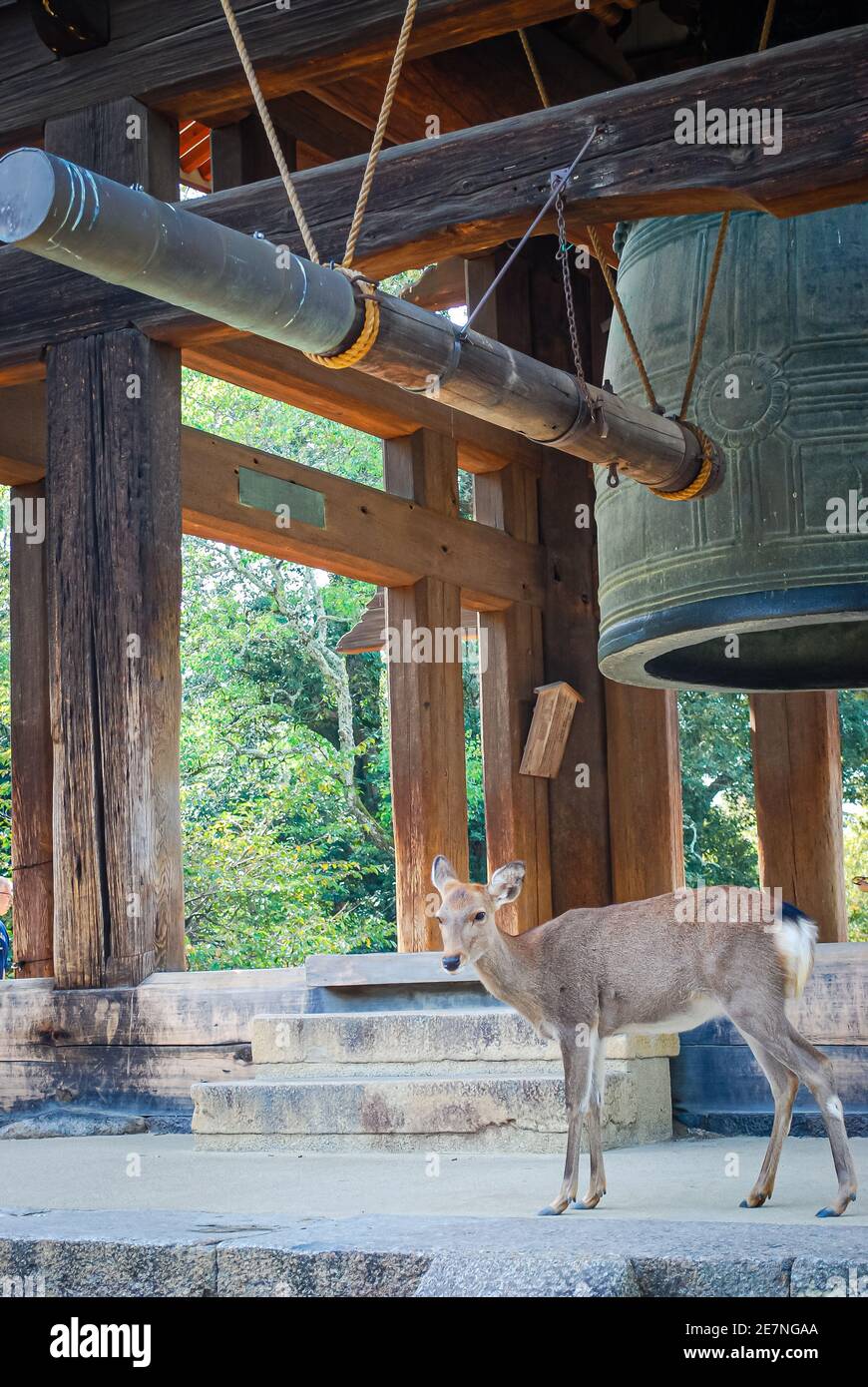 Temple bell tower japan hi-res stock photography and images - Alamy