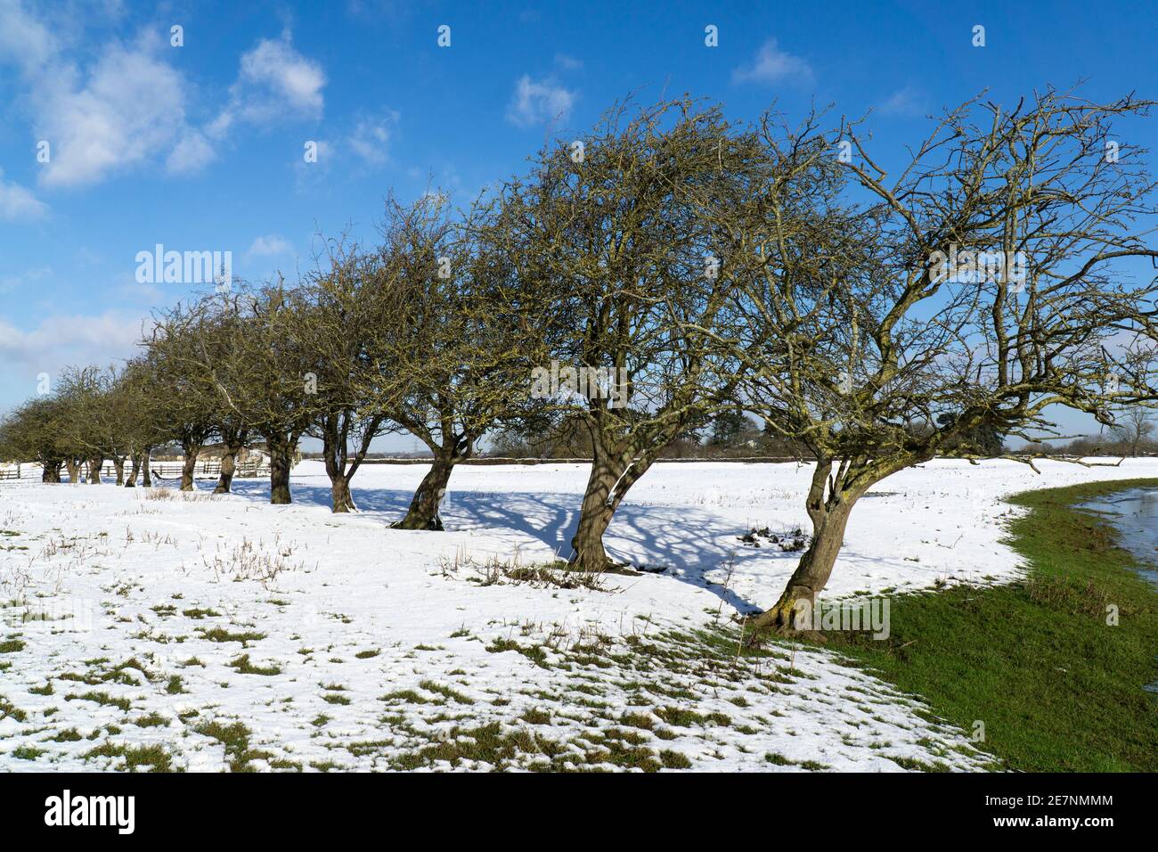 Arctic wind farm hi-res stock photography and images - Alamy
