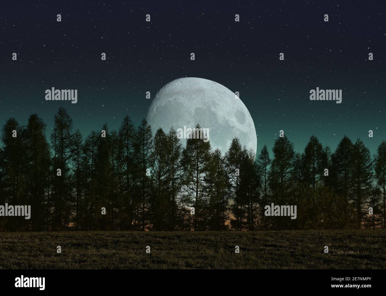 Moon rises behind trees in a forest Stock Photo - Alamy