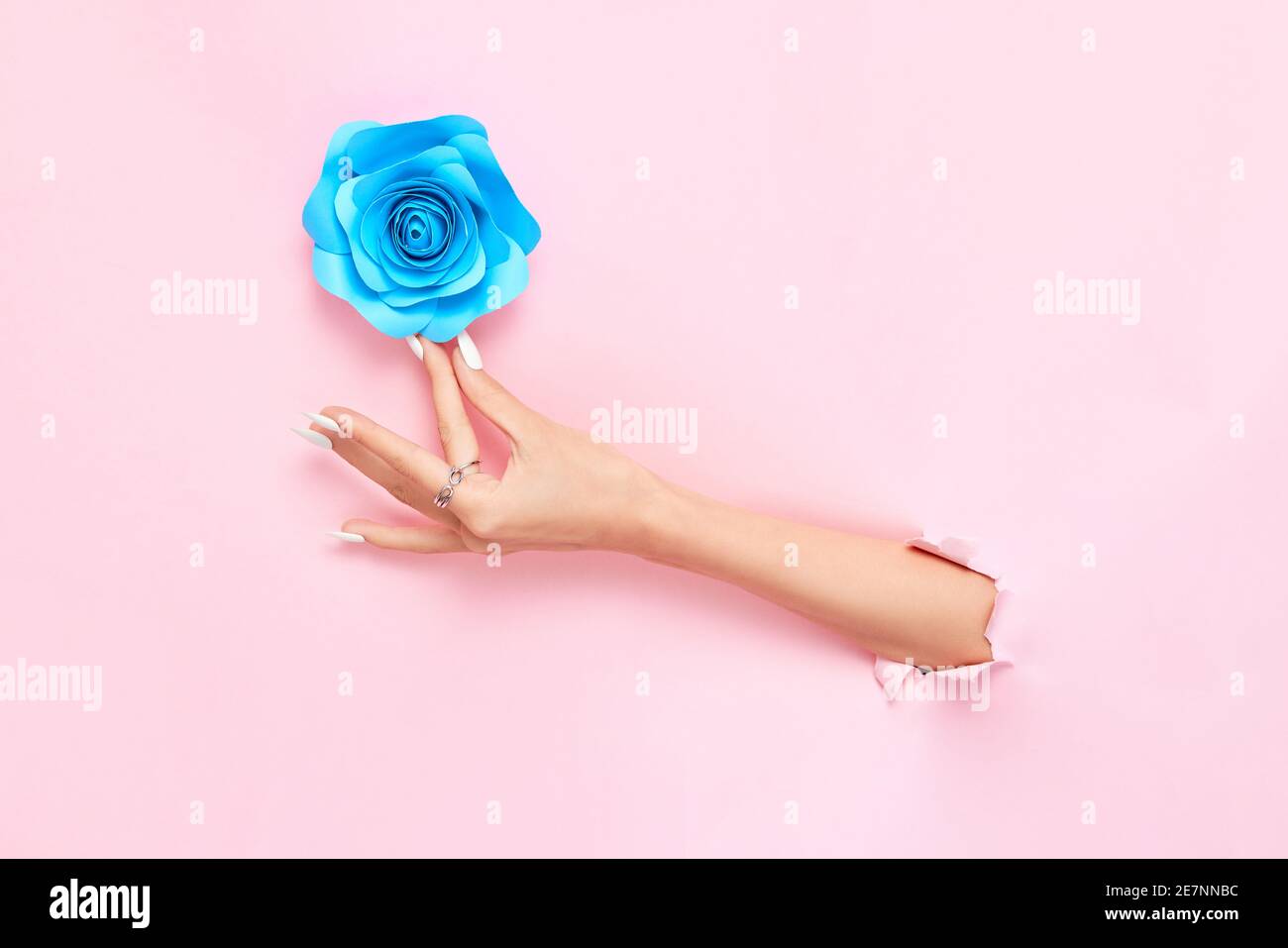 Female hand sticking out of pink paper background touching a blue paper ...