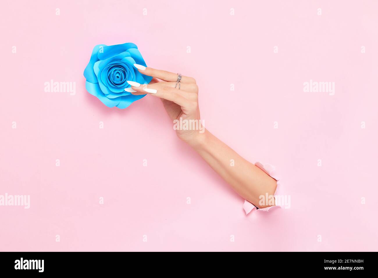 Female hand sticking out of pink paper background touching a blue paper ...