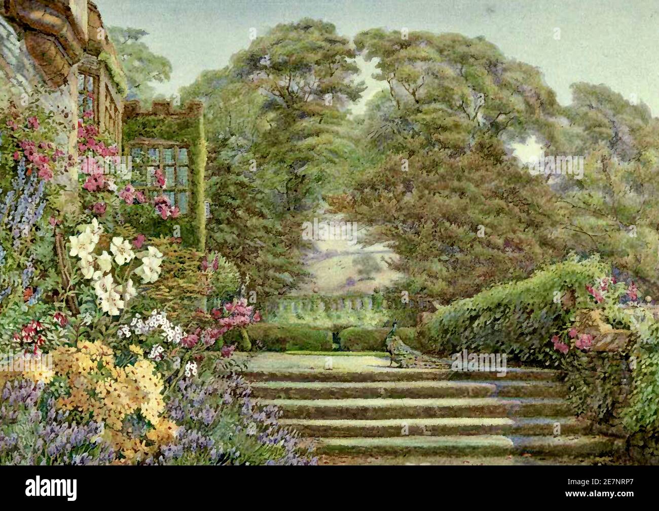 Edith helena adie hi-res stock photography and images - Alamy