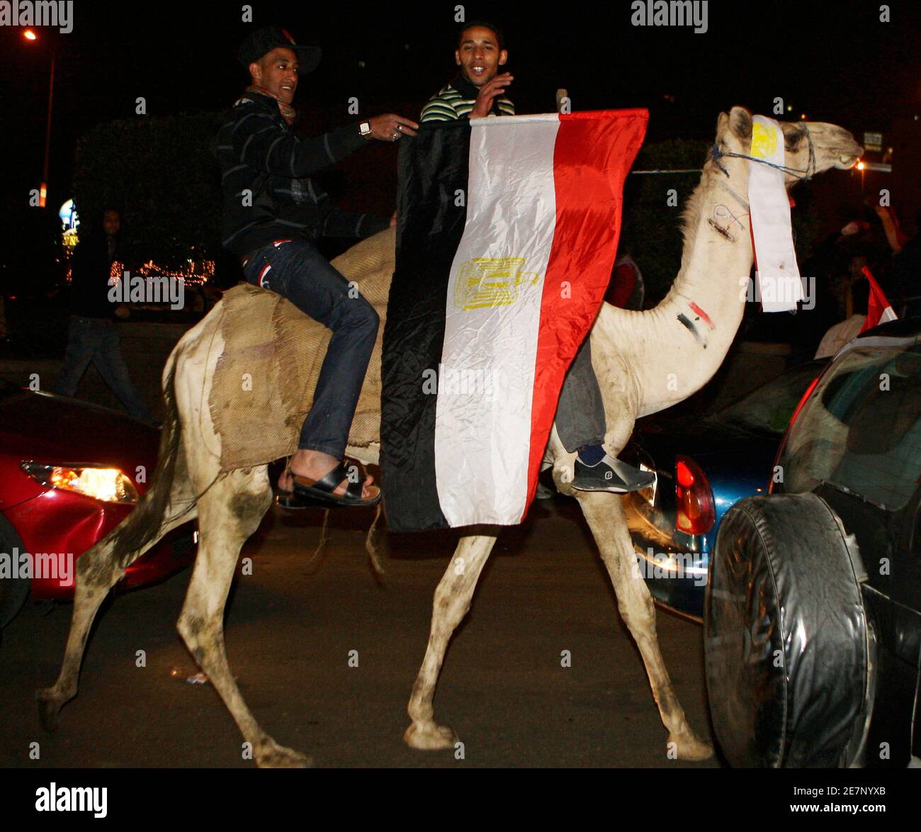 Cairo streets animals hi-res stock photography and images - Alamy