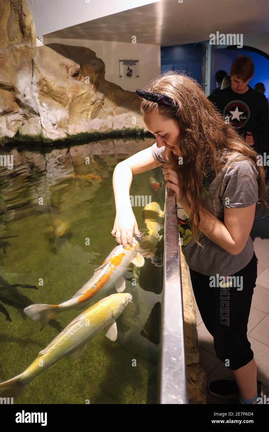 City in a fish tank hi-res stock photography and images - Alamy