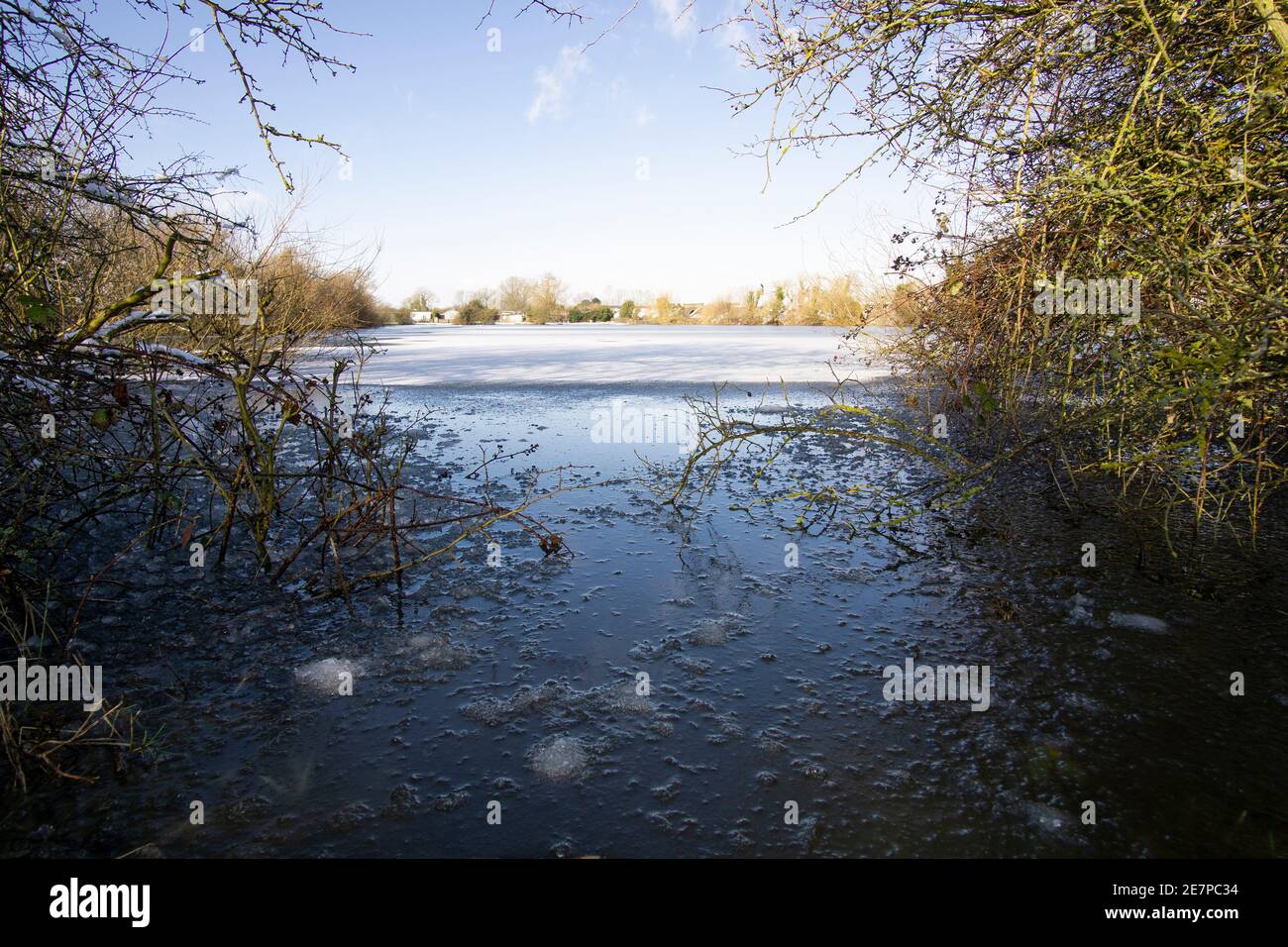 Frozen over flooded pond image Stock Photo - Alamy