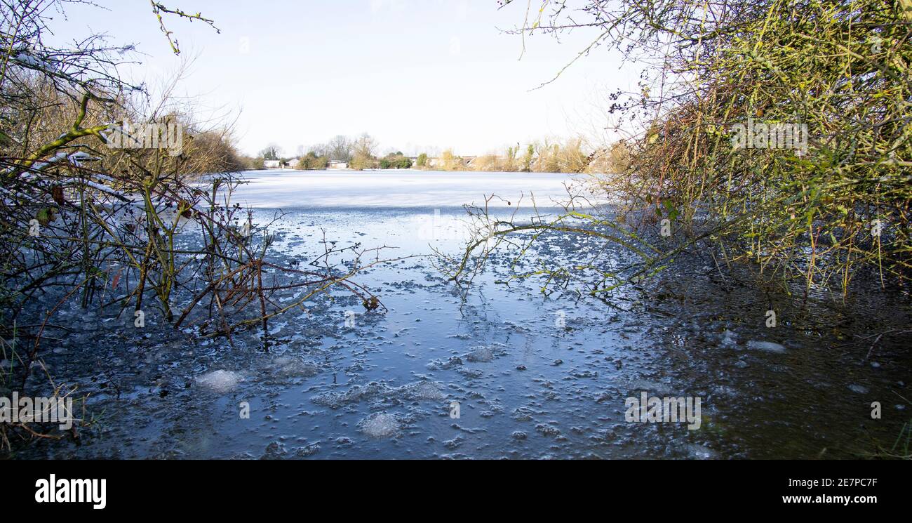 Frozen over flooded pond image Stock Photo - Alamy