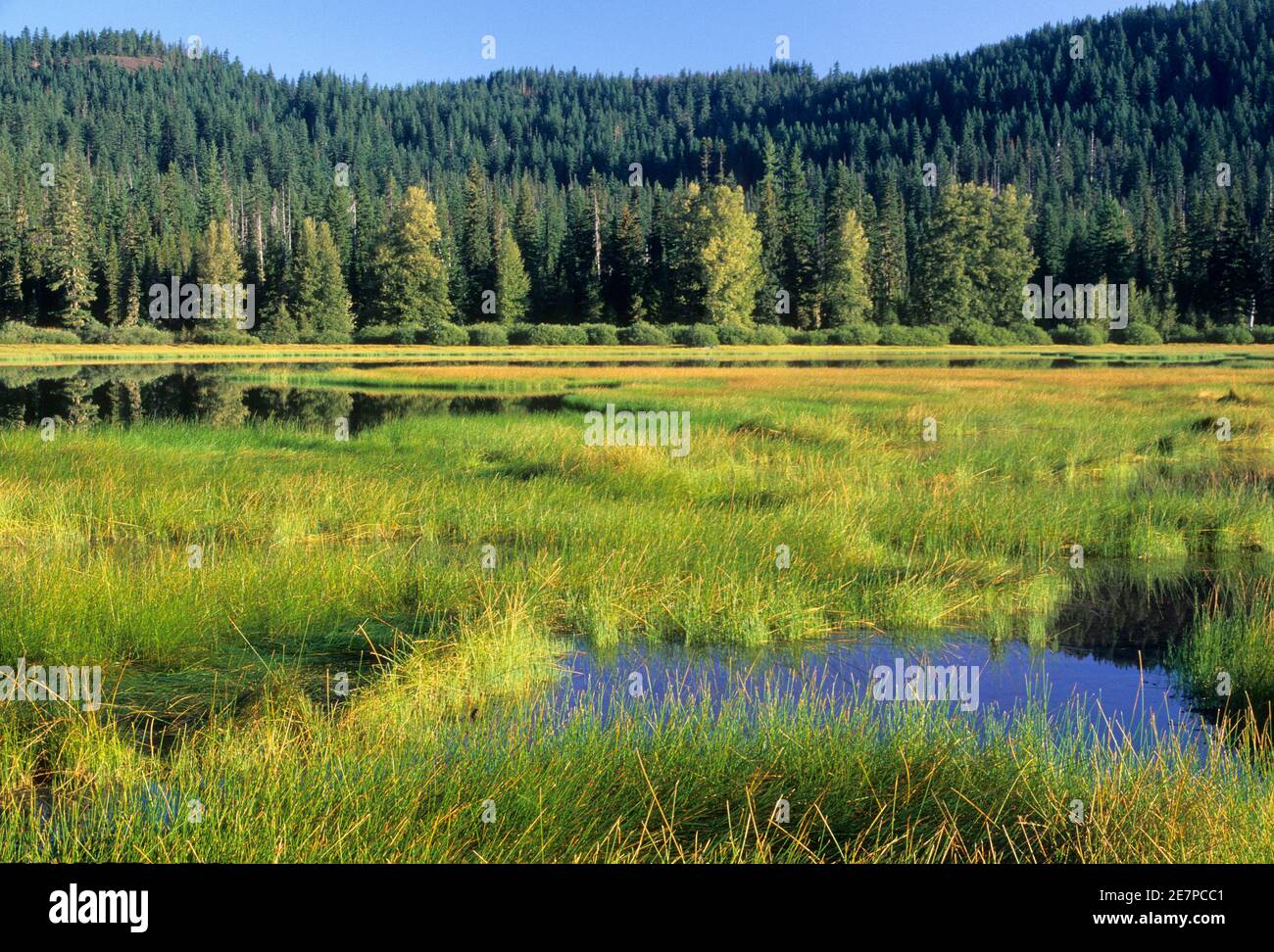 Lost Lake, Willamette National Forest, Oregon Stock Photo - Alamy
