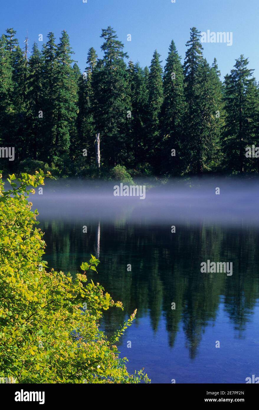 Clear Lake, McKenzie Pass-Santiam Pass National Scenic Byway ...