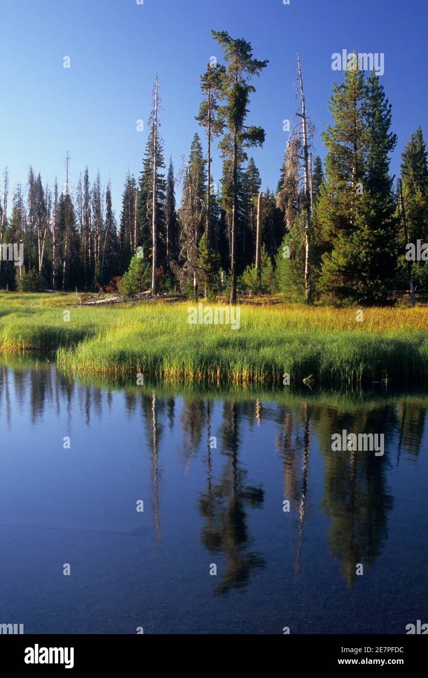 Little Lava Lake, Cascade Lakes National Scenic Byway, Deschutes ...