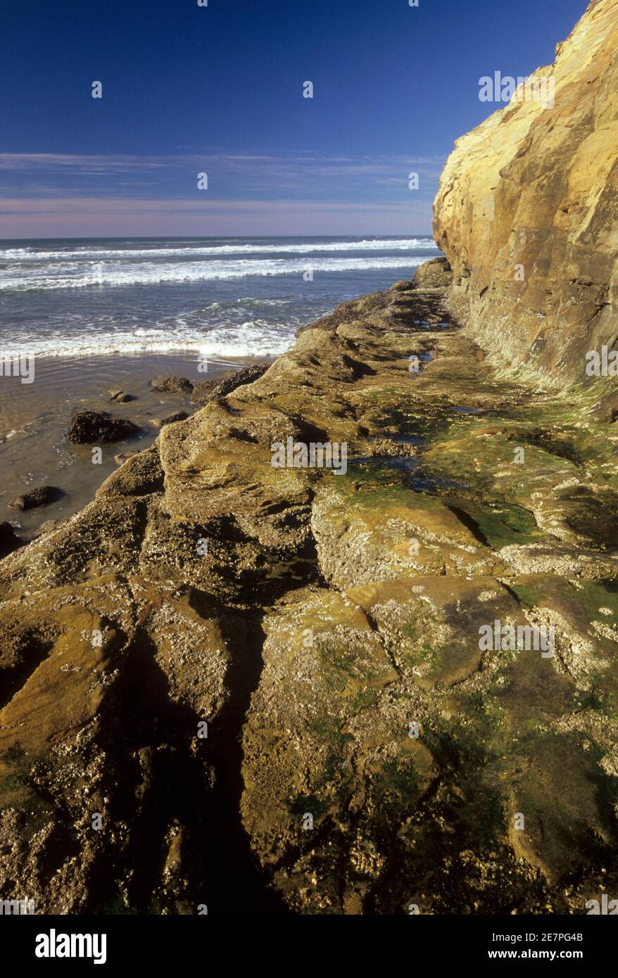 Old coast road (cut into coastal cliff), Hug Point State Park, Oregon ...