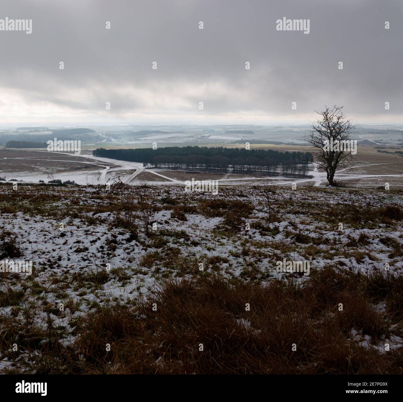 winter snow covered landscape view of Salisbury Plain from Sidbury Hill ...